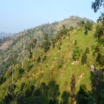 Travel Information in Bangladesh: Bandarban Tourist Spot