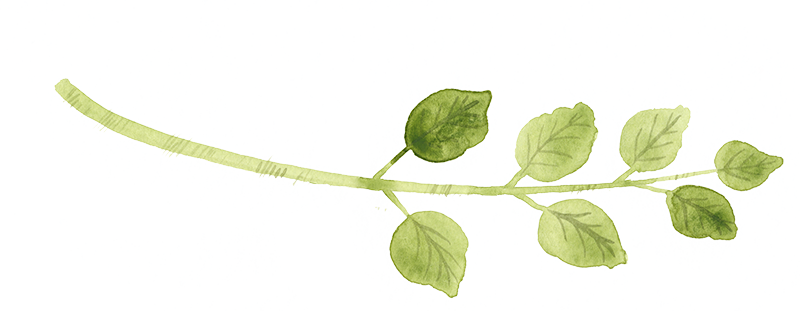 sprig - definition - What is