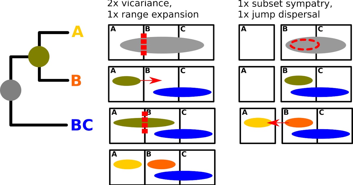 PhyloBotanist: How problematic is the jump dispersal parameter in ancestral area inference?