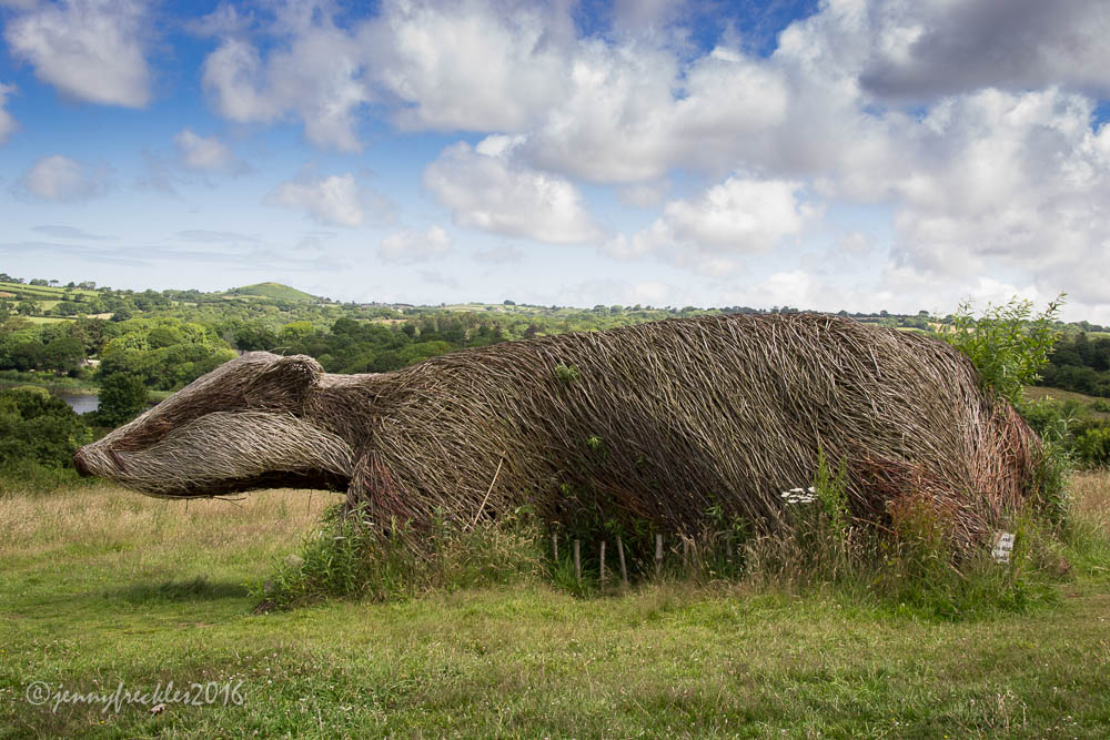 Saltaire Daily Photo: Welsh Wildlife Centre