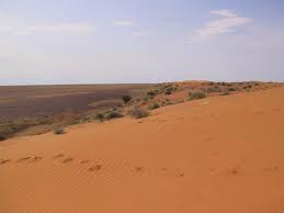 Desert Development Program (DDP) ~ Rajasthan GK | Current Affairs 2023