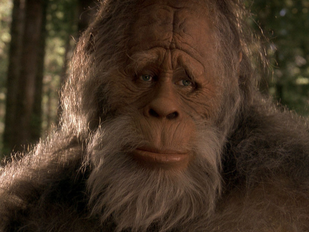 Bigfoot Conspiracy – California sued for non-recognition of Sasquatch ...