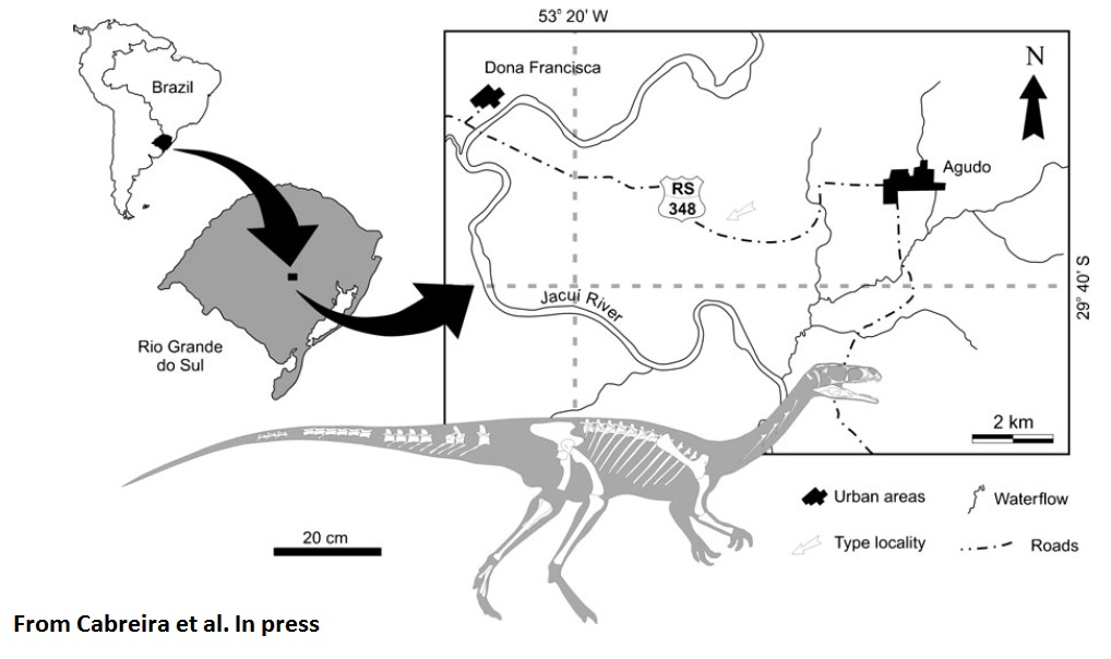 Theropoda: Pampadromaeus, sauropodomorfo theropodomimo