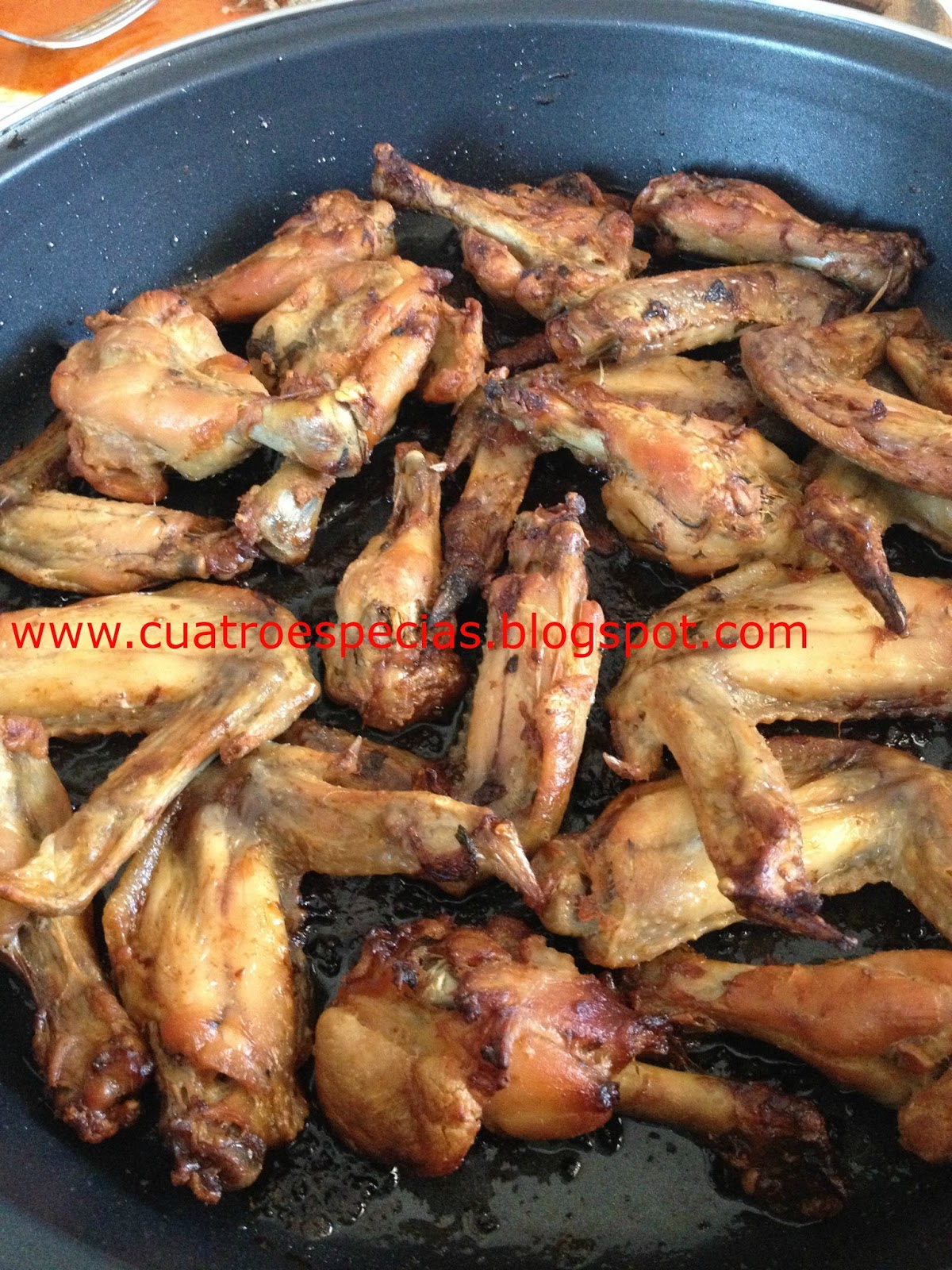 CUATRO ESPECIAS: por ELENA ZULUETA DE MADARIAGA: ALITAS DE POLLO GUISADAS.