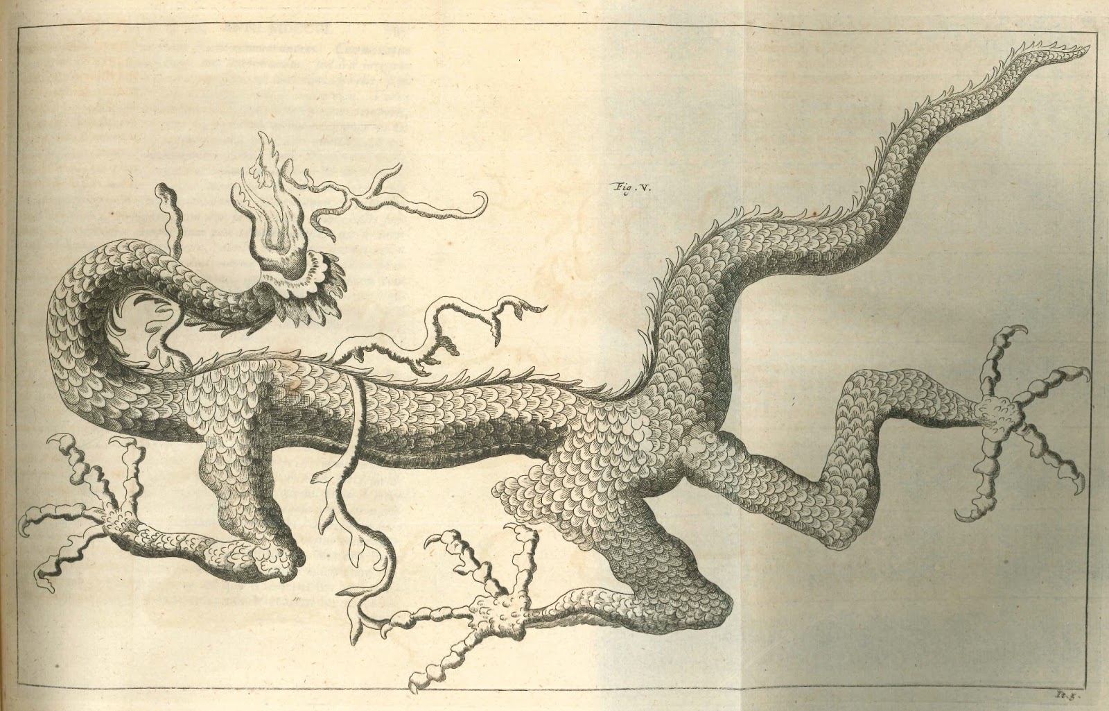 Rauner Special Collections Library: Dragons of the Alps