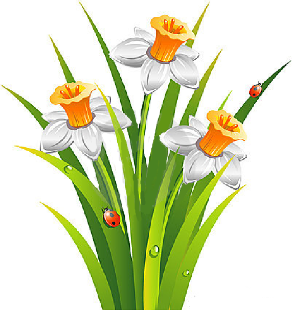 IMAGINI cu NARCISE colorate :: Fise de lucru - gradinita si scoala