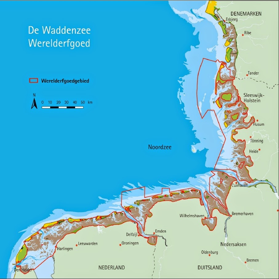 Beleef de Wadden: Werelderfgoed de Waddenzee