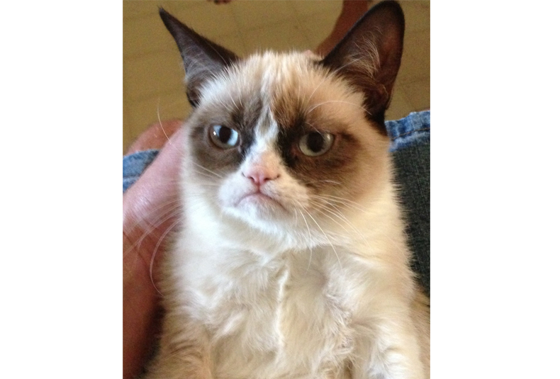 HOW TO TRANSFORM YOUR LOVELY PET INTO A GRUMPY PET | MY WHITE IDEA DIY