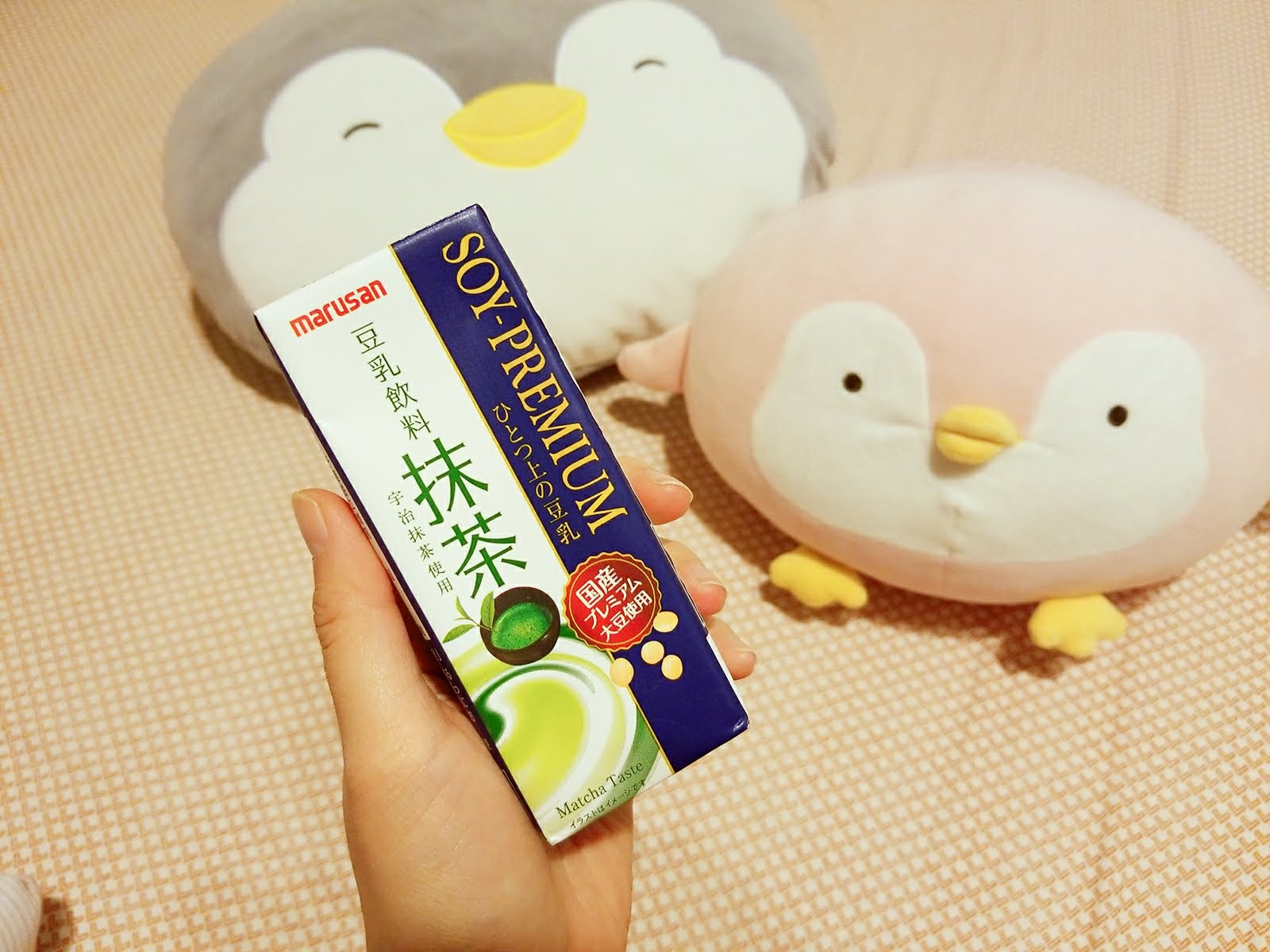 Marusan Soy-Premium Matcha Flavored Soy Milk