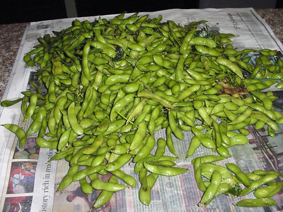 Eating Floyd...: Growing & Preserving Floyd: Edamame - Fresh Soy Beans
