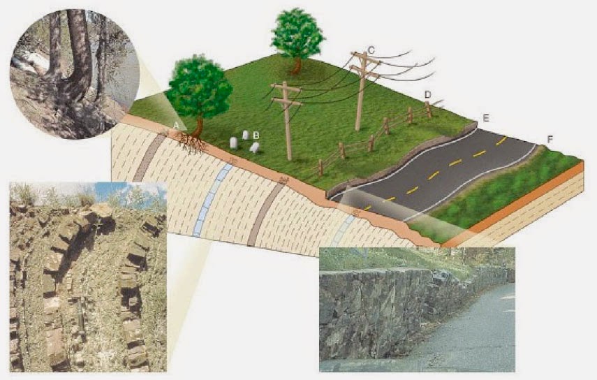 Blink Activity | BlinkLearning