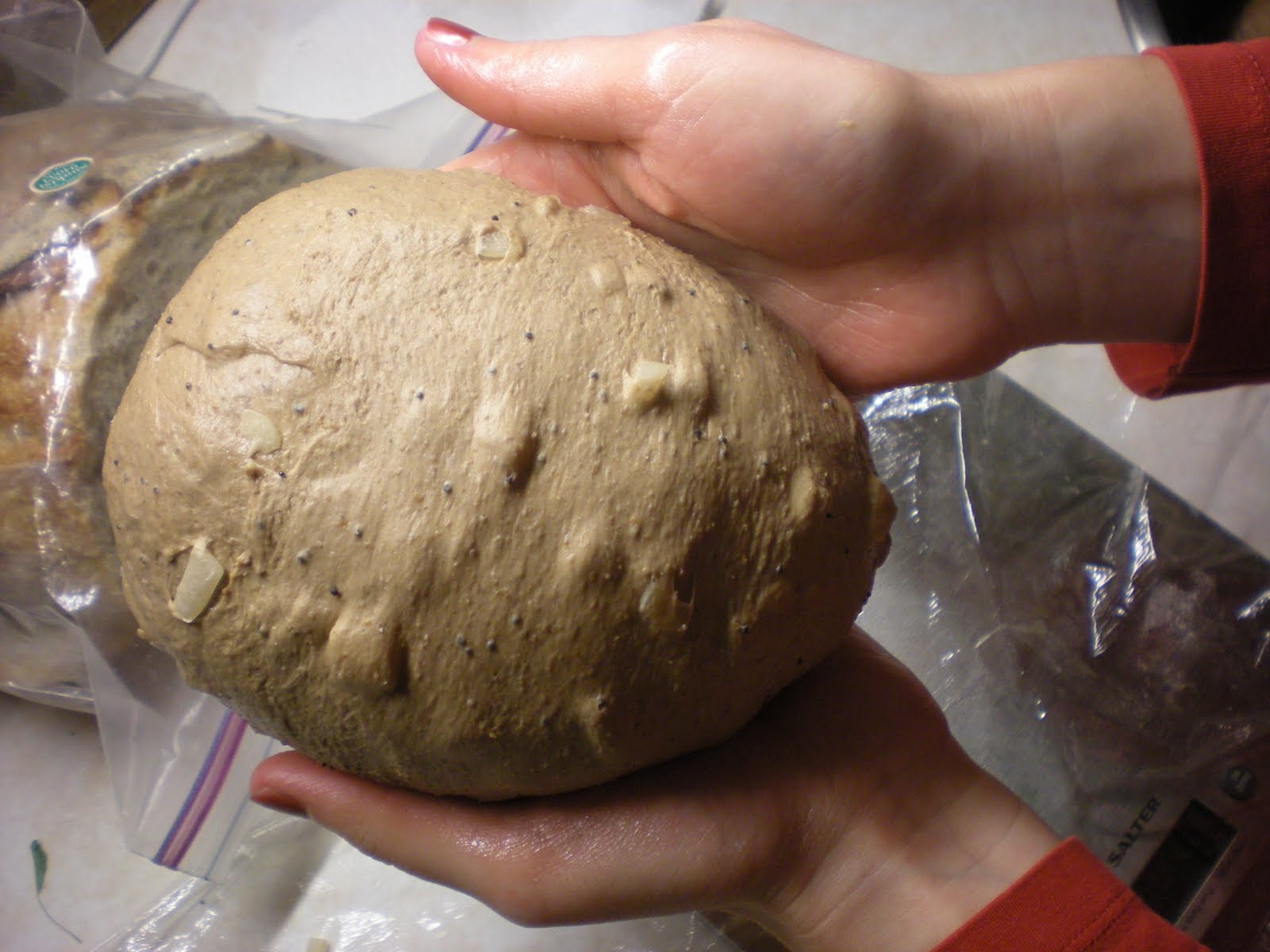 The Bread Maiden: The Science Behind... shaping your dough