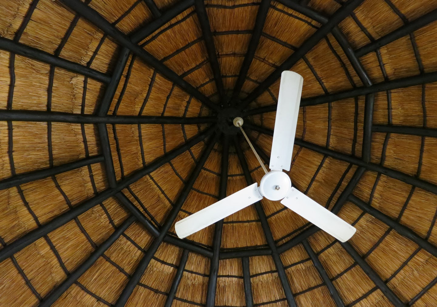 66 Square Feet (Plus): Rondawel