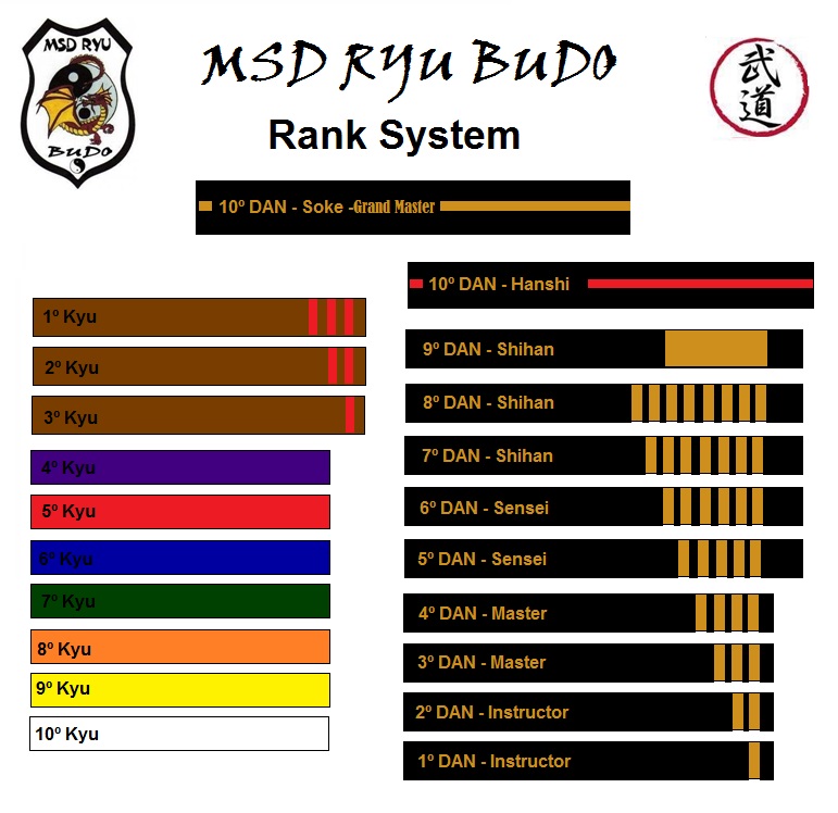 MSD RYU BUDO
