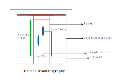 SENTHIL PRABHU SIVASAMY: PAPER CHROMATOGRAPHY