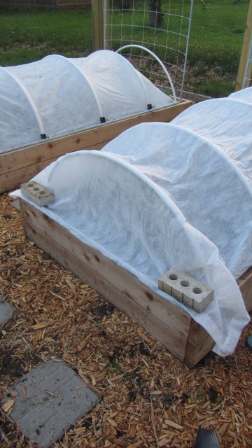 Following the Master Gardener: Making Floating Row Covers