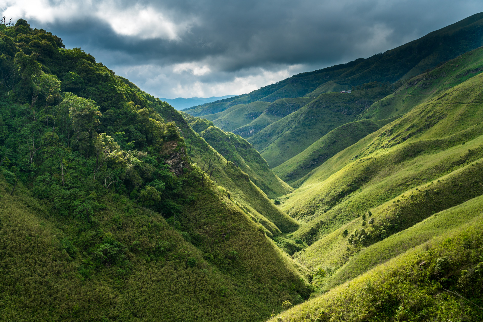 Travel-India: Dzukou Valley of Nagaland