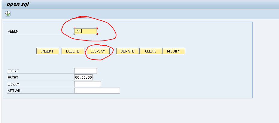 SAP TECH: Open Sql Statements