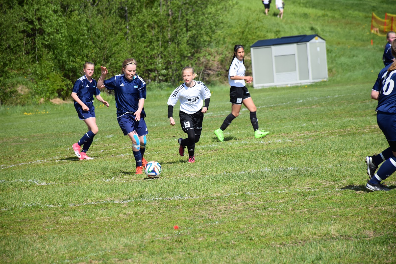 SDFF Plus: SDFF derby på Gumsekullen idag.
