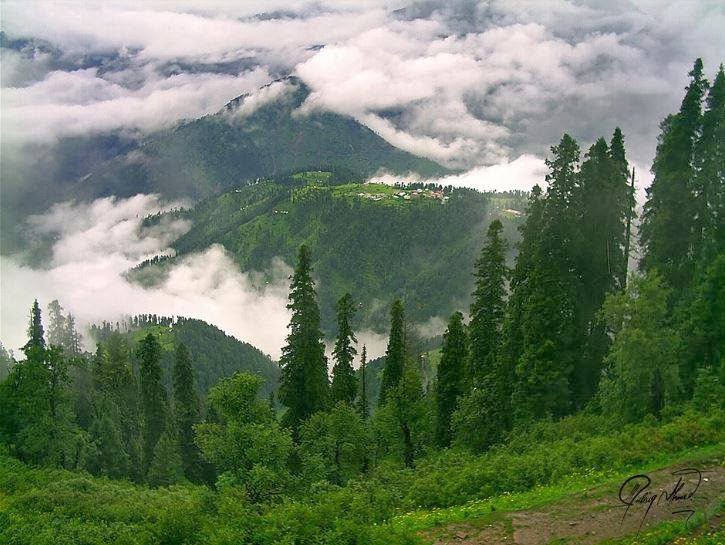 My beautiful pakistan: SHOGRAN VALLEY PAKISTAN