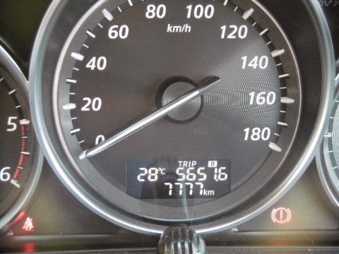 続・山ネコの日記2 Continuation of YAMANEKO'S DIARY 2: 23rd Sep. 7777 7777だぞ