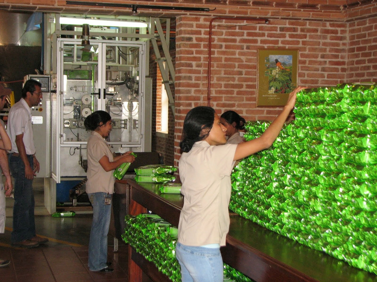 Sail Ariel: Coffee Plantation Tour