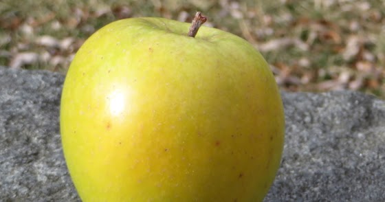 Green Dragon - Adam's Apples