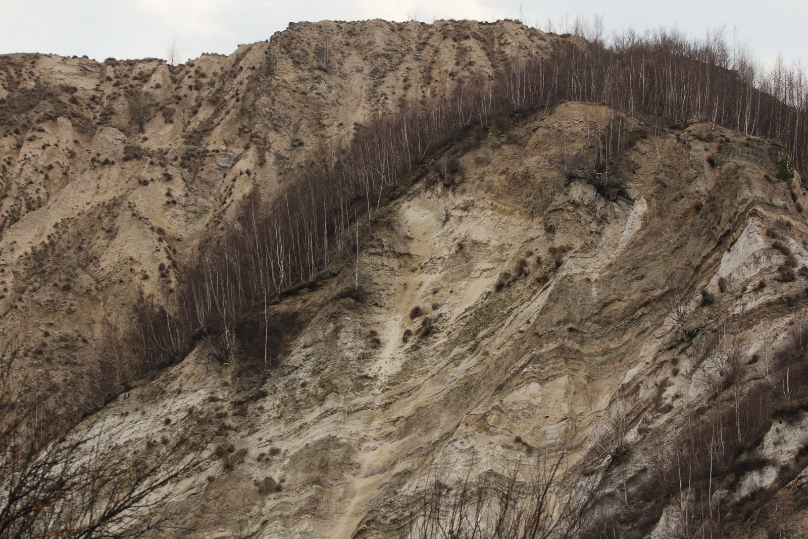 Inceputuri: Colti- Buzau