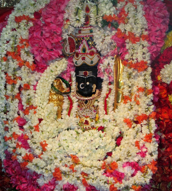 Aadi Pooram Brahmotsavam 2016: Arunachala - ARUNACHALA GRACE