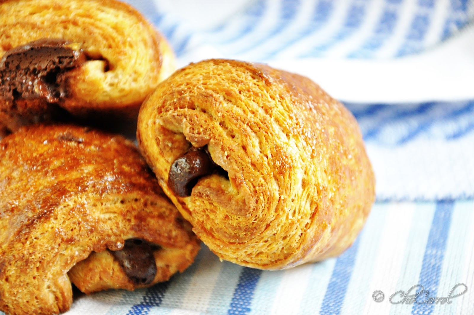 CoLoRes, SaBoRes, oLoRes...CoLoRs, TaSTeS, SmeLLS: mini whole wheat ...
