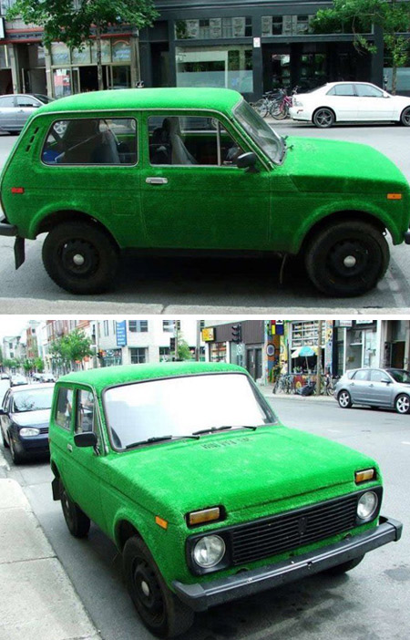Daily Pictures: Most Amazing Grass - Covered Cars