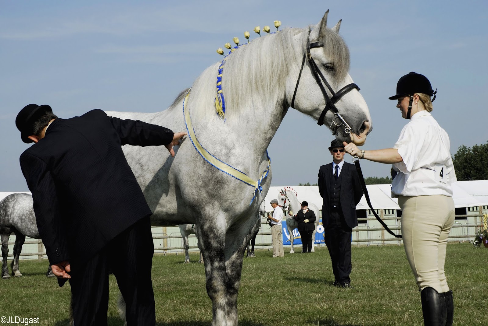 Percheron International: mai 2018
