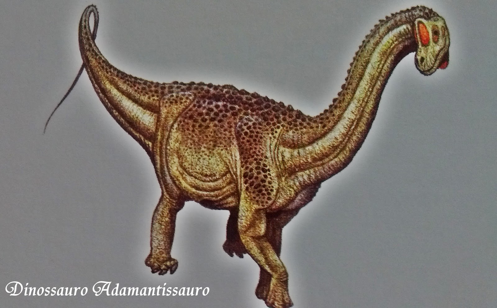 Adamantissauro, um achado paulista