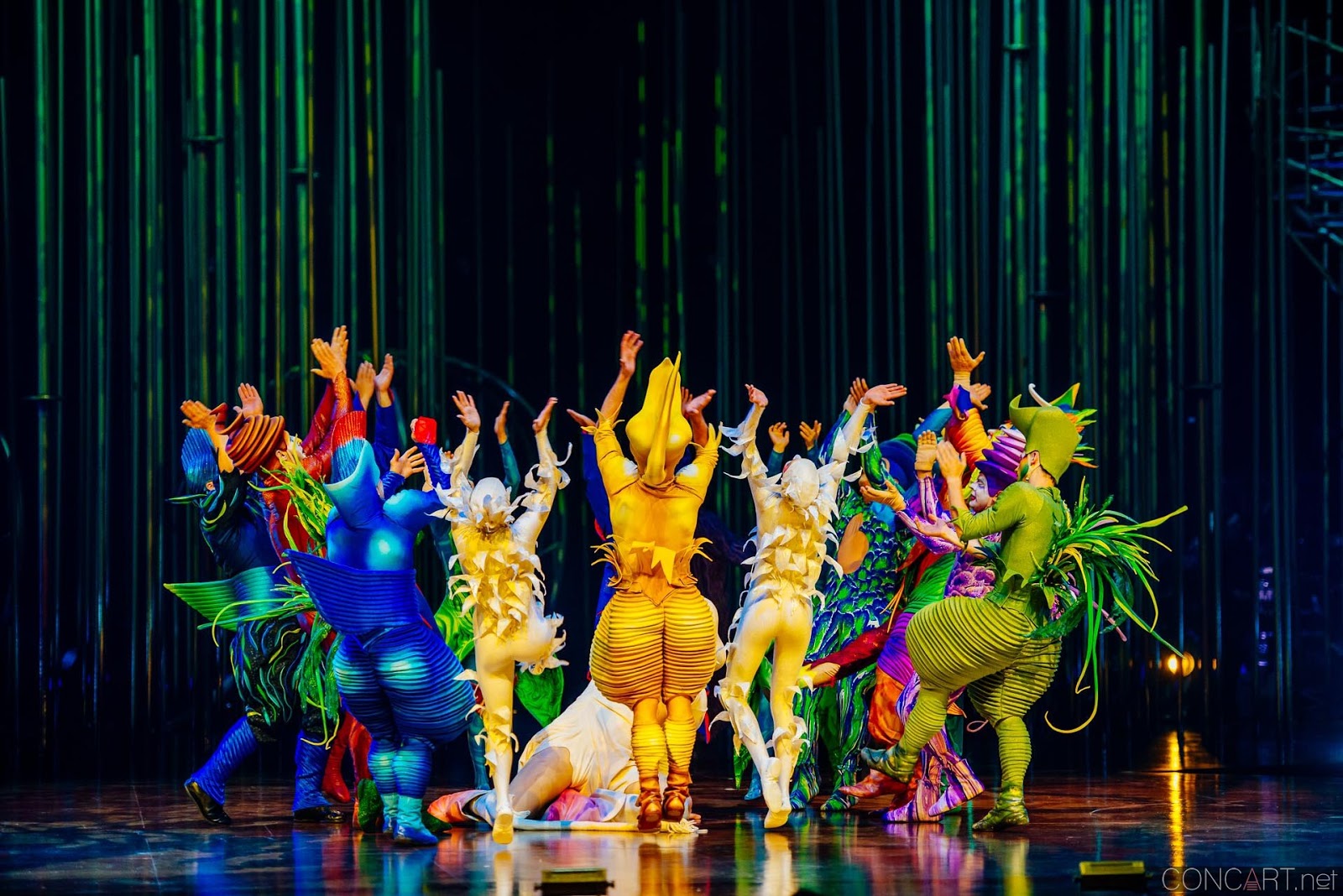 It's A Circus (Circo, Cirque du Soleil) – Moving with Mitchell