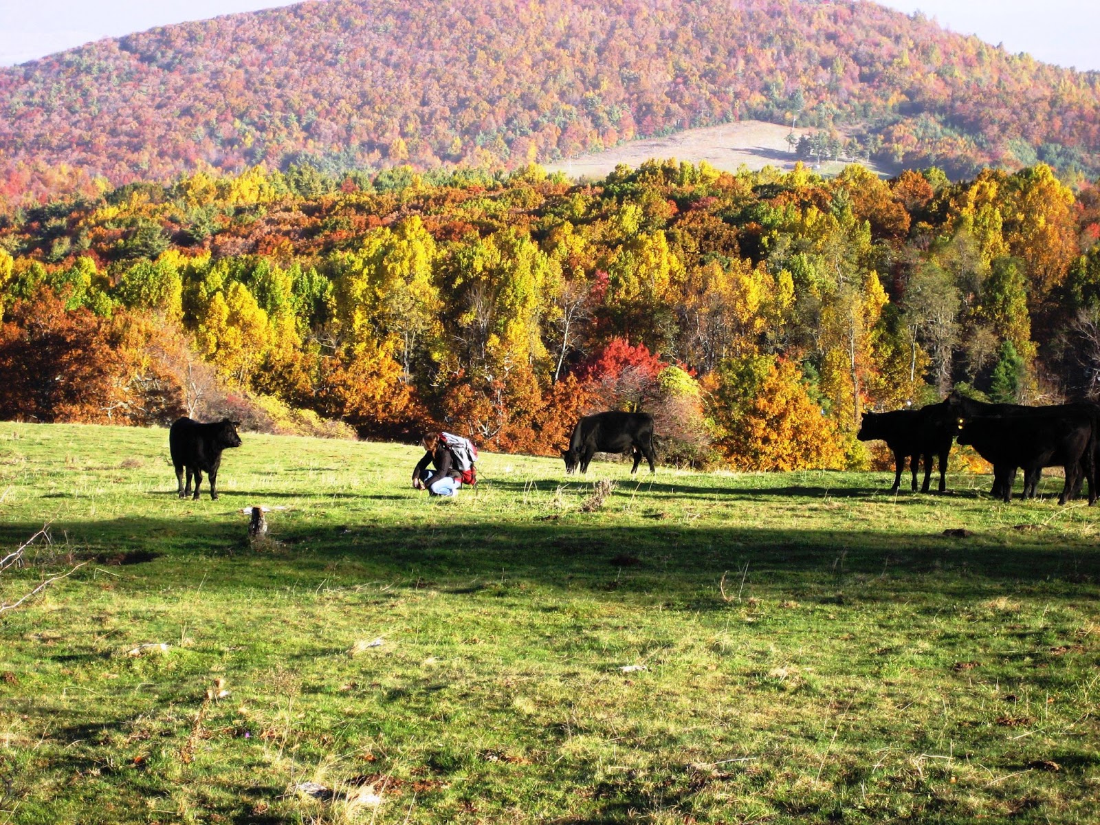 The Hiking Hokie: Hikes in Southwest Virginia