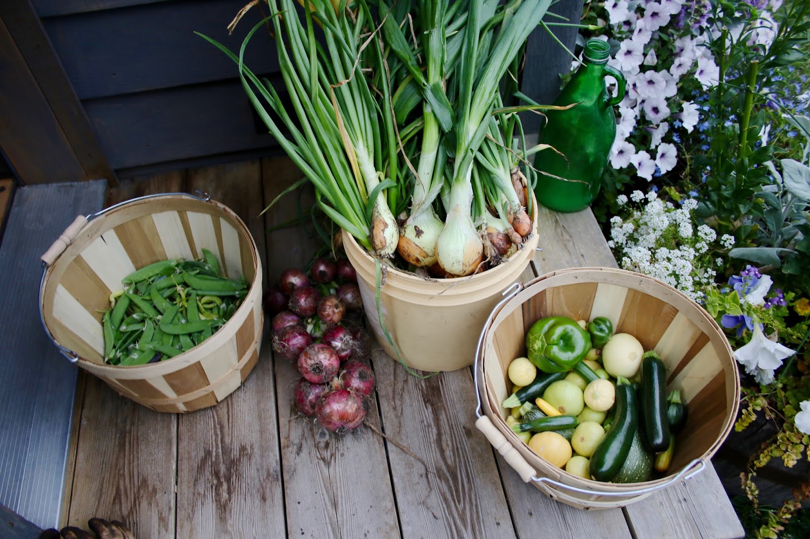 Fy Nyth...: Summer Wrap Up