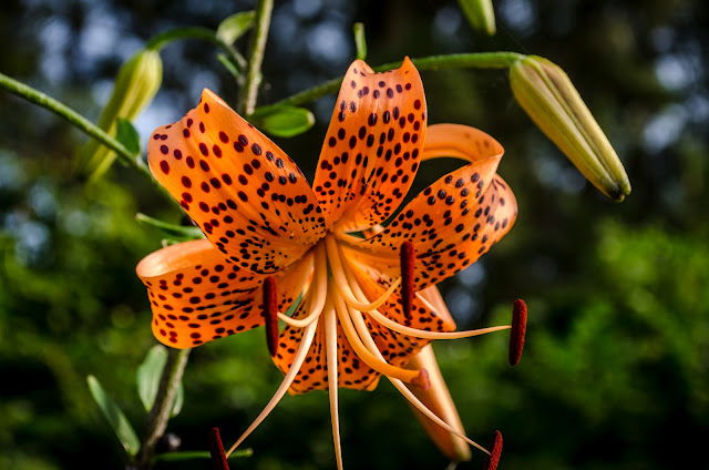 Korean Countryside | 10 Pictures in Pohang