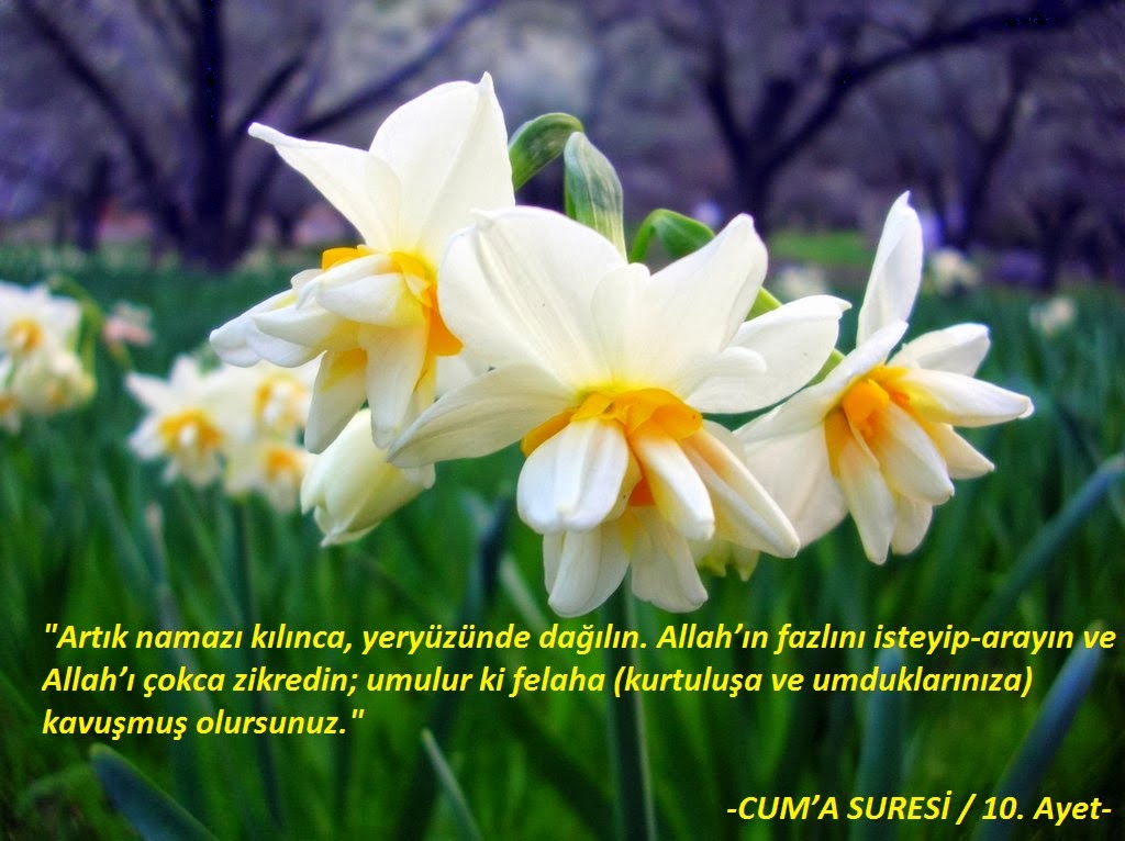 Ekin Arslan ile 'Kişisel Gelişim, İletişim, Liderlik, Ruhsal Öğretiler ...