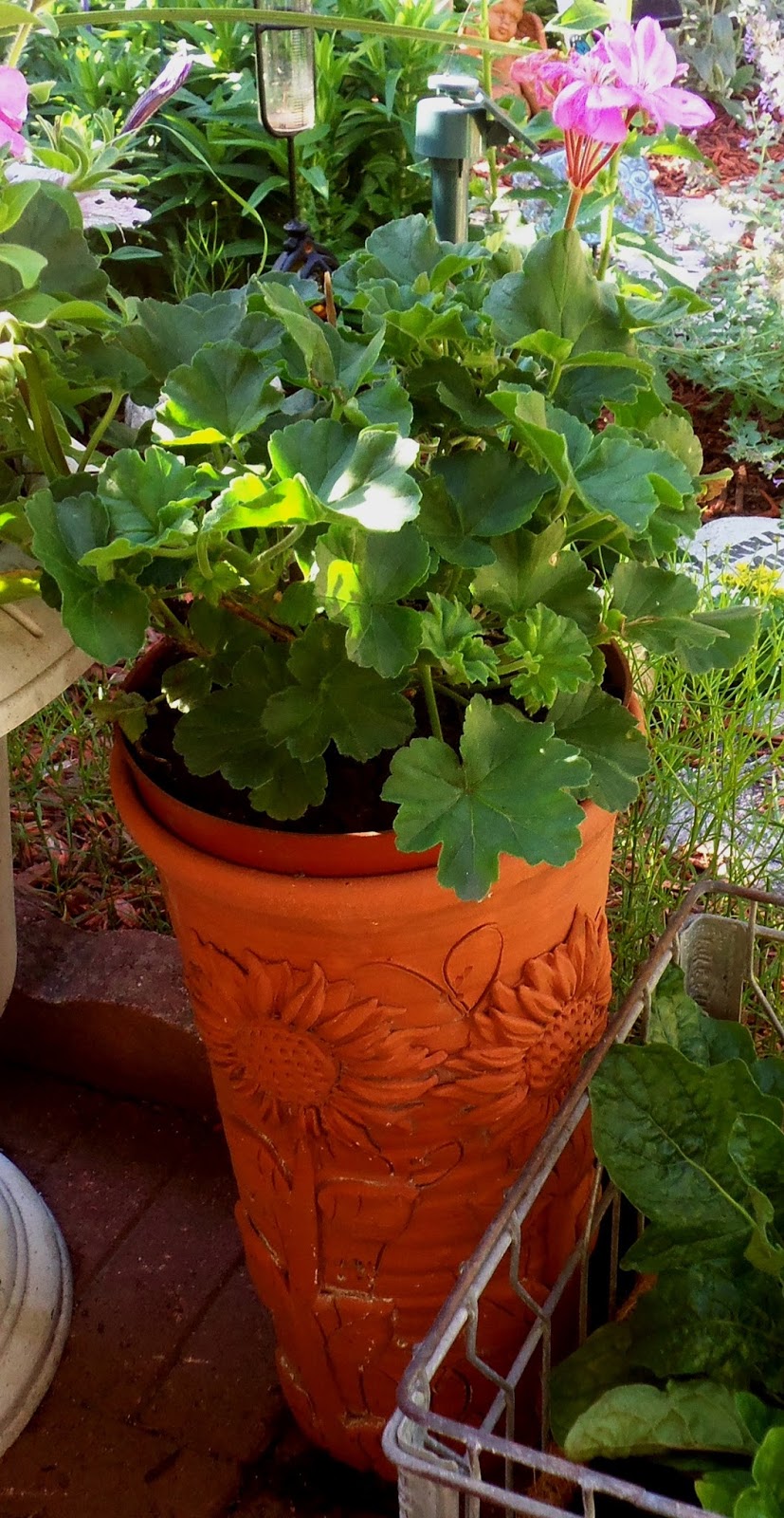 DEBBIE-DABBLE BLOG: A Few "Different" Plant Containers and Stands!