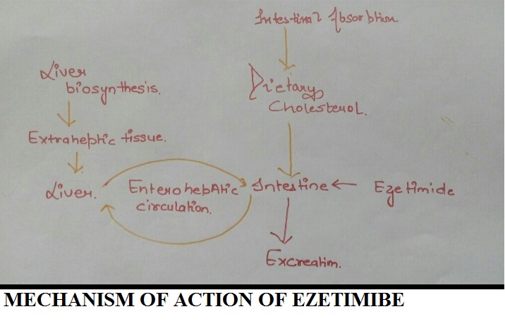 Pharmacology of Drugs: Ezetimibe