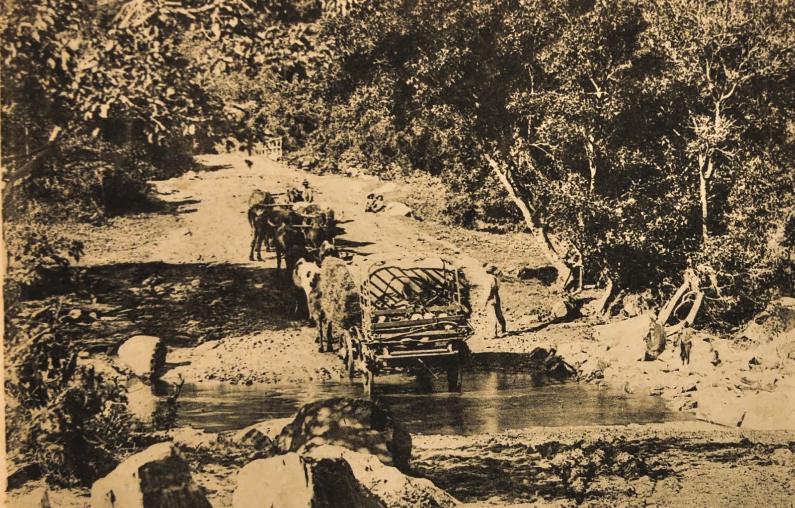 Port Elizabeth Daily Photo: January 2014