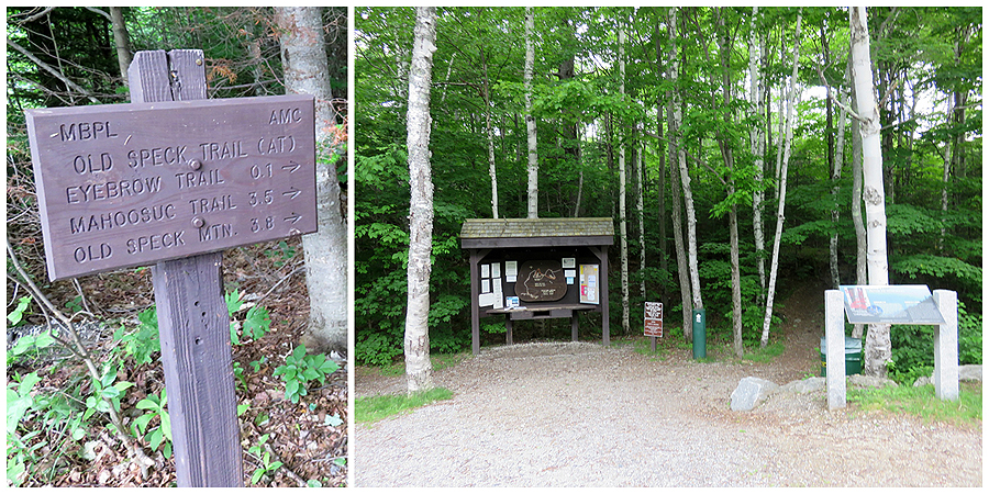 Hiking in the White Mountains: Mahoosuc Range Traverse