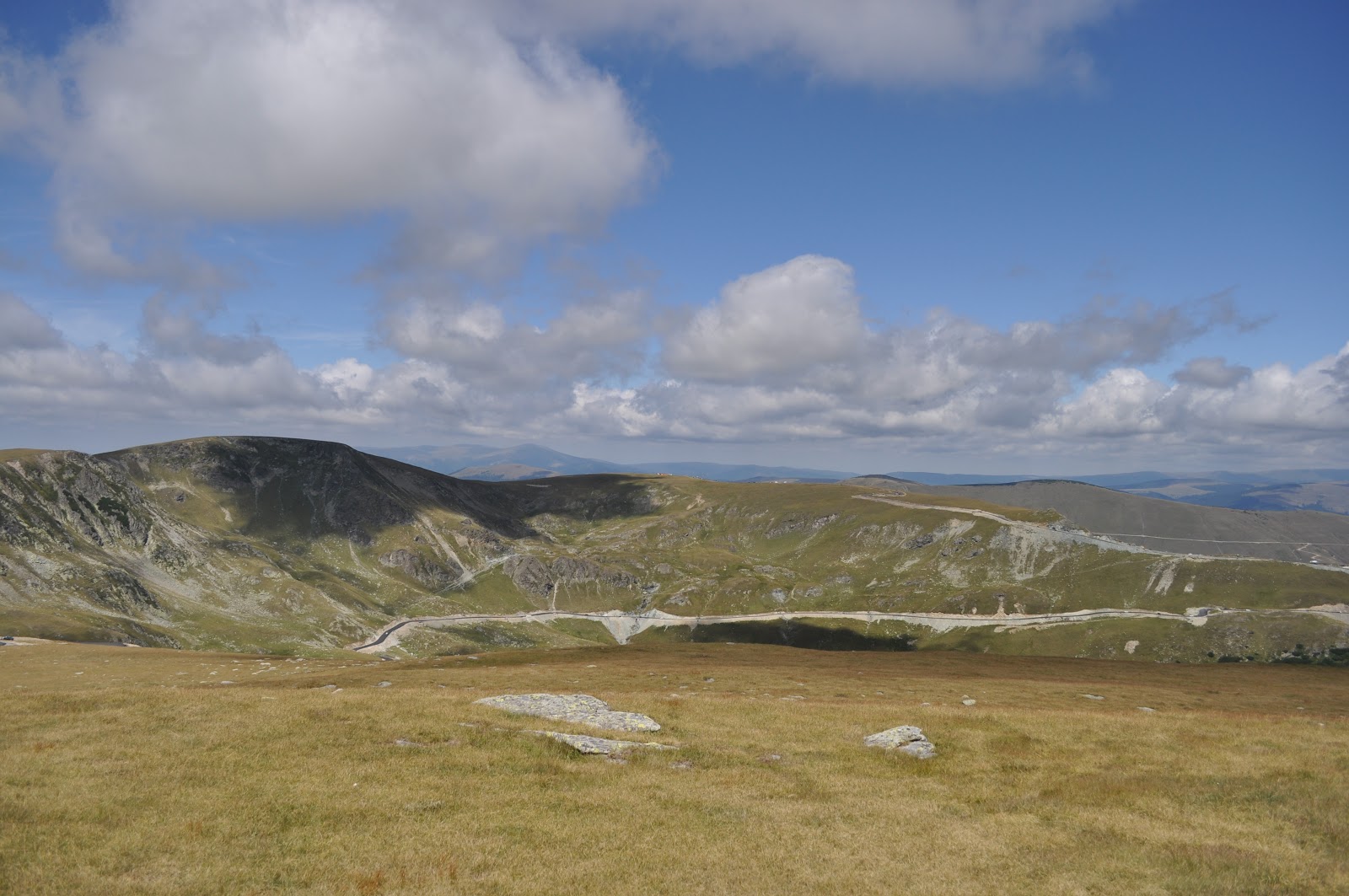 Poze, Natura, Animale, Plante, Romania, Valcea, Ionut Ungureanu
