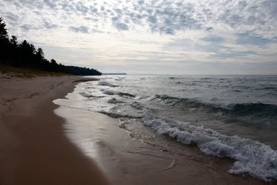 Nature remains.: Tainted Snow (SWF)