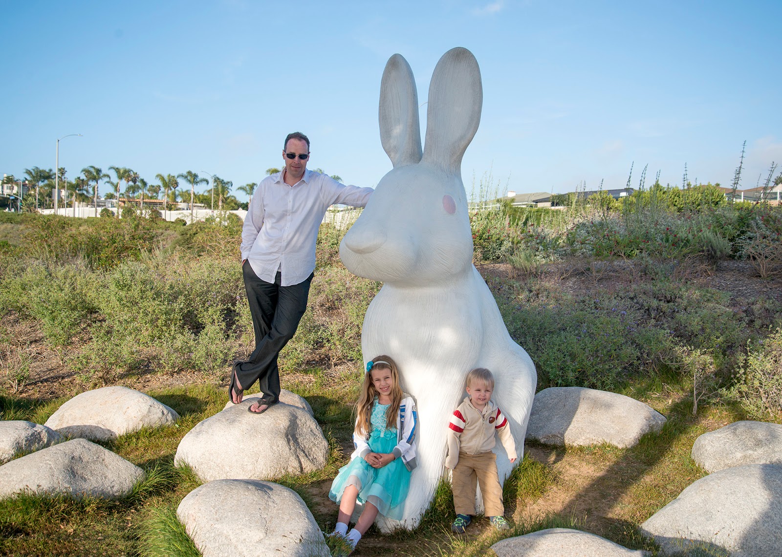 Bunnyhenge - light-in-leaves