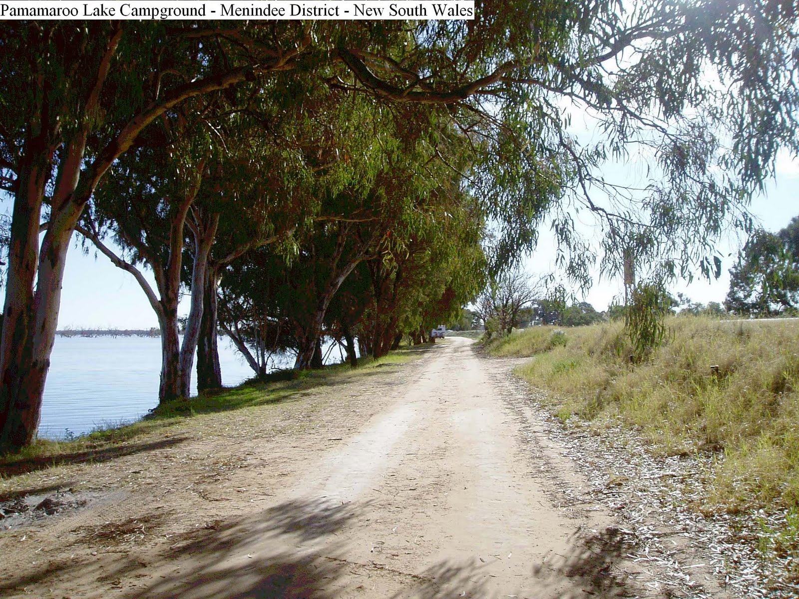 Nannapop N.S.W. And ACT Return to Main Site: 4th September 2011 ...