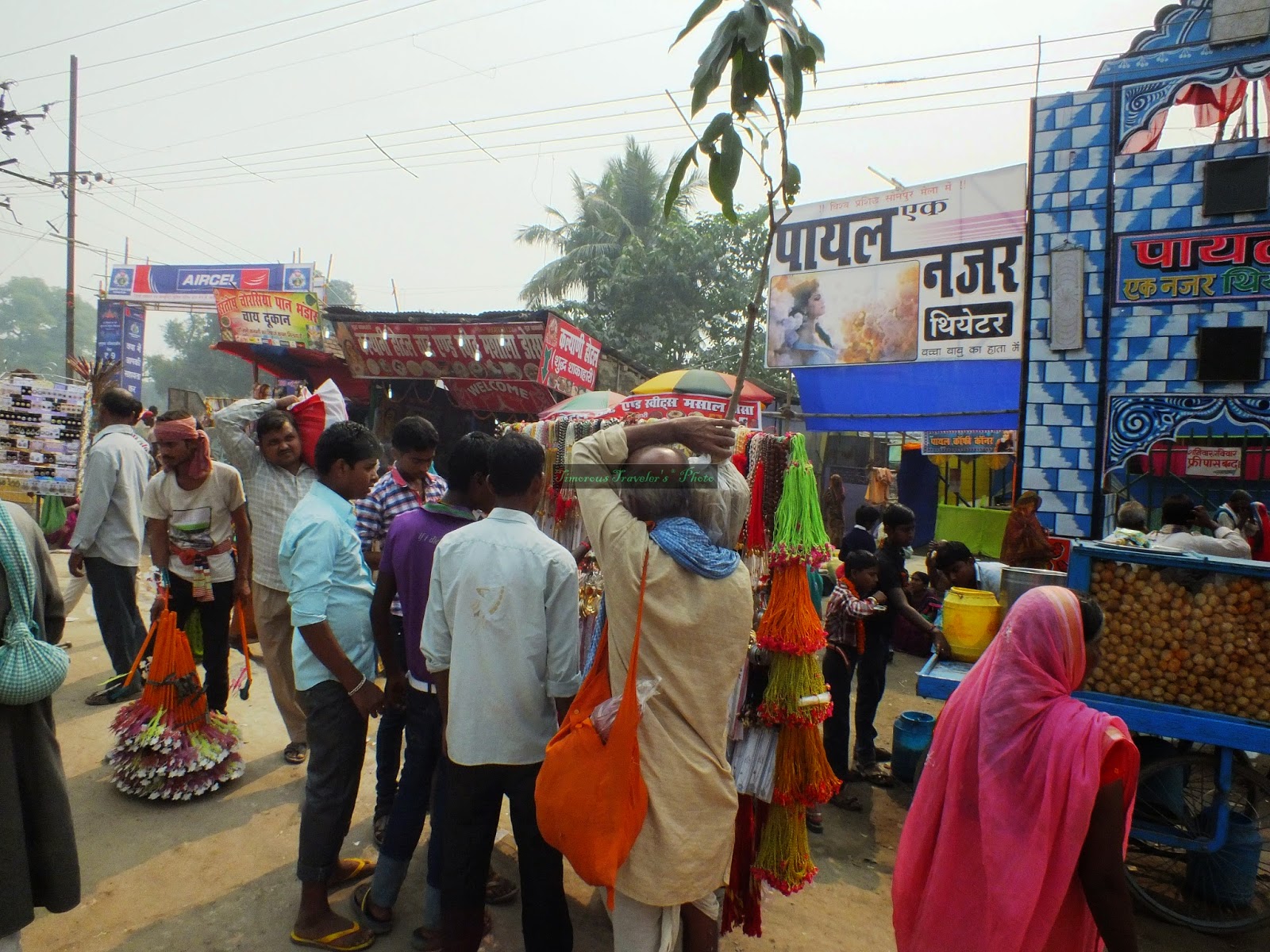 Sights & Sounds of India- and beyond: Asia’s Largest Cattle Fair ...