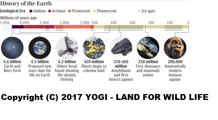 Yogi-Land for Wildlife (Nature and Wildlife Conservation): The ...