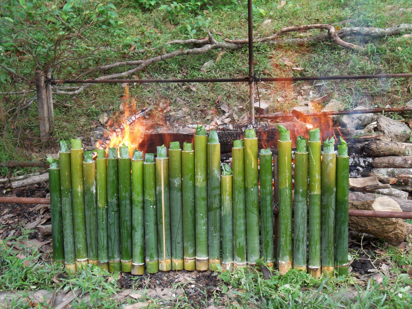 Kisah &Cerita si Papa Comel Bulat: Lemang Oh Lemang
