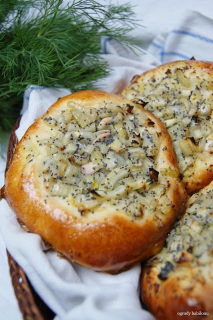 ogrody babilonu: cebularz lubelski